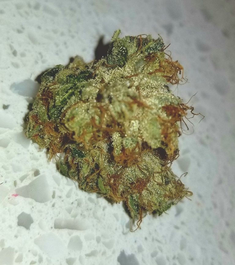 Do-Si-Dos by Blue Roots : A Heavy-Hitting Indica | World Of Weed