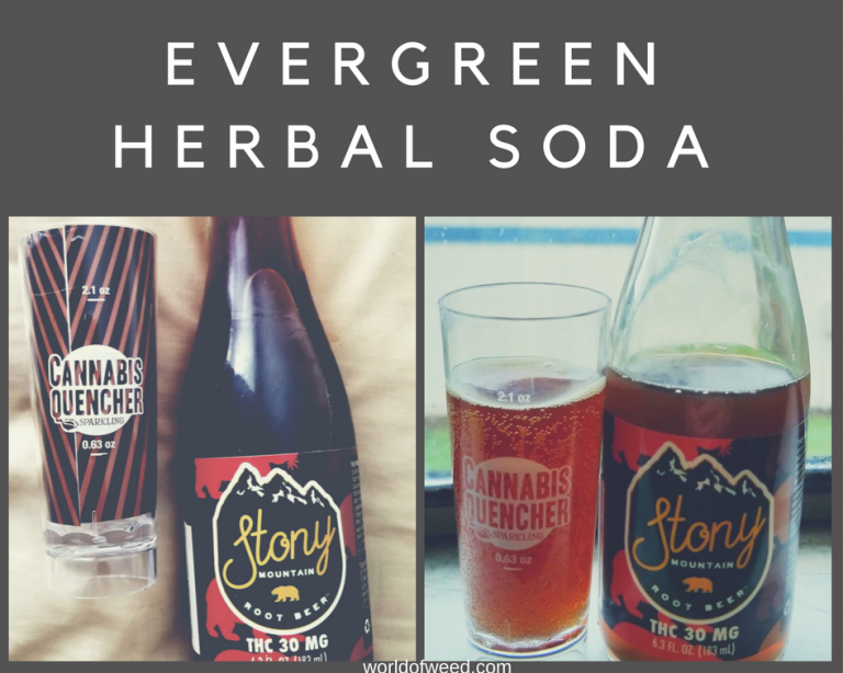 Evergreen Herbal Soda | World Of Weed