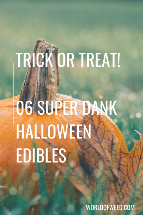 Trick or Treat! 6 Super Dank Halloween Edibles | World Of Weed