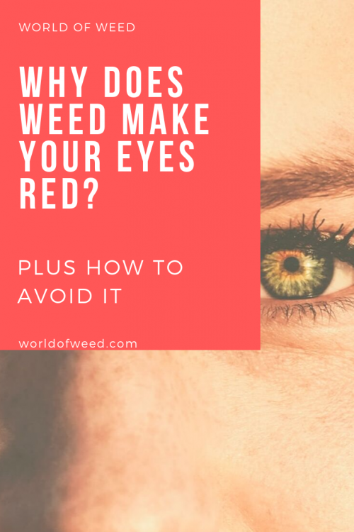 Why Does Weed Make Your Eyes Red? (PLUS: How to Avoid It) | World Of Weed